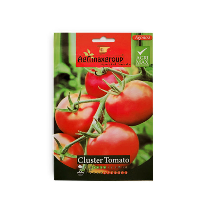 Cluster Tomato Seeds – EsnadAgro