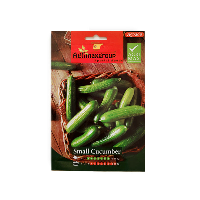 Small cucumber seeds – EsnadAgro