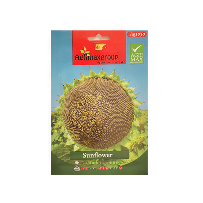 Sun Flower seeds – EsnadAgro